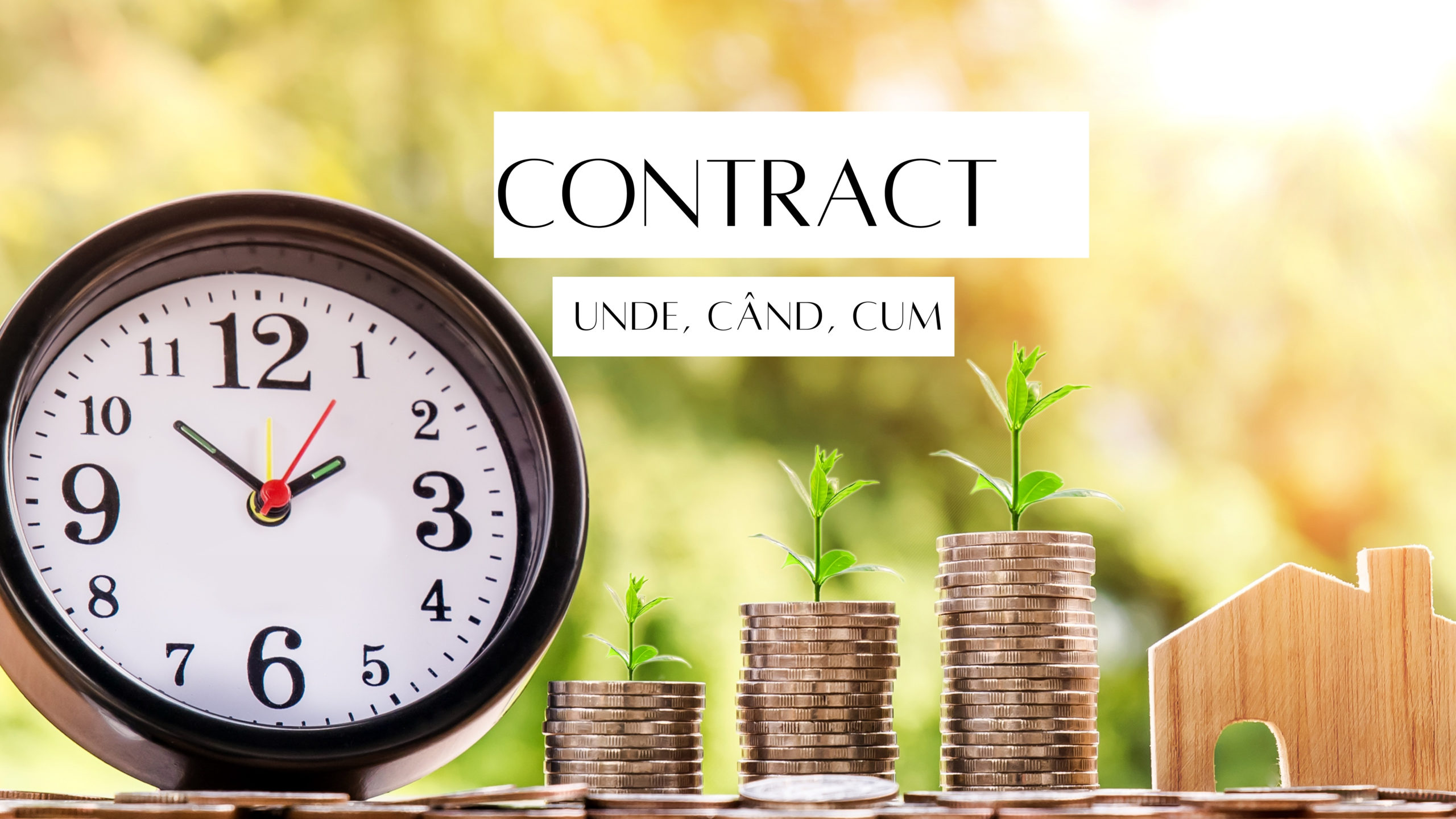 Pe scurt despre Contractul de închiriere - Leute Magazin